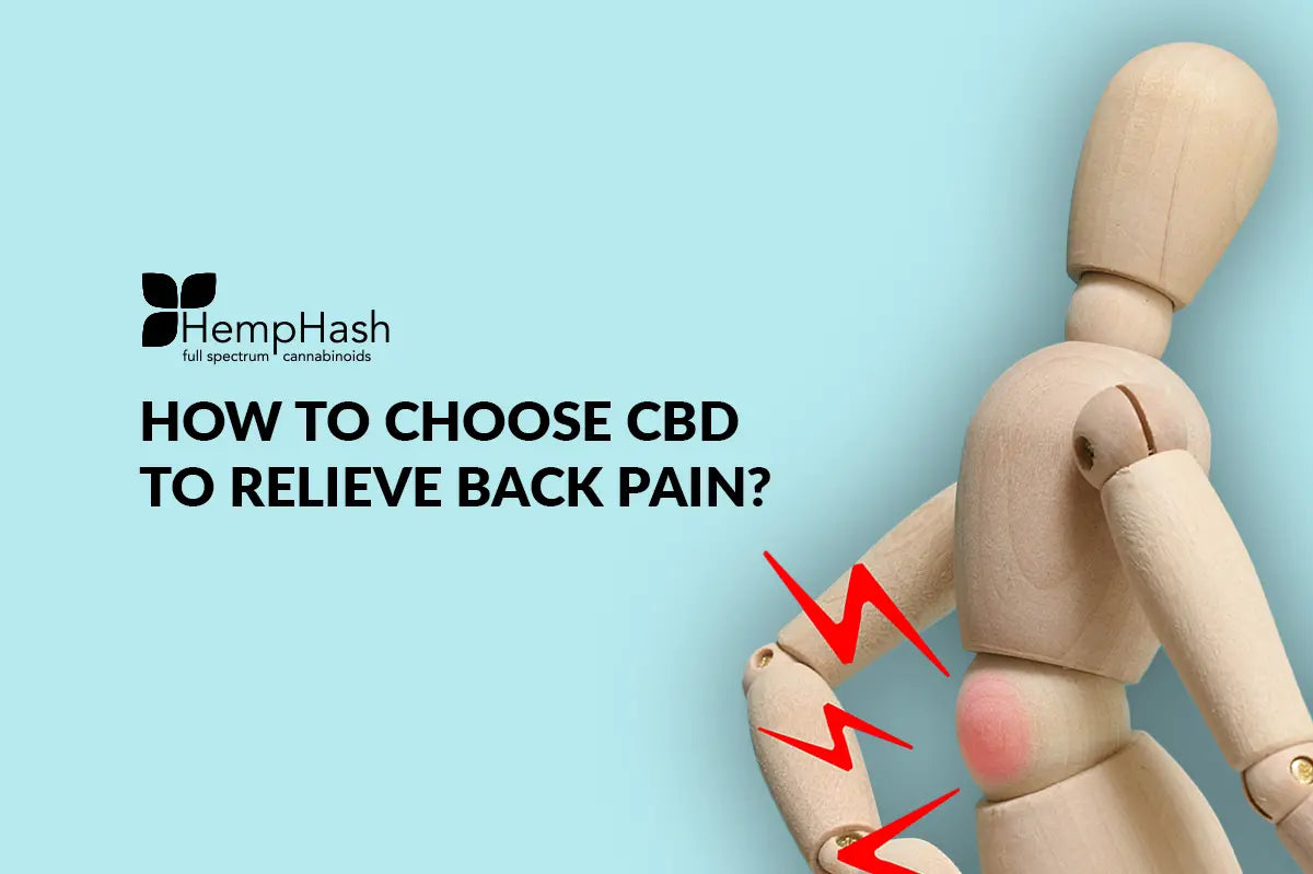Choosing the Best CBD Product for Back Pain Relief: A Comprehensive ...
