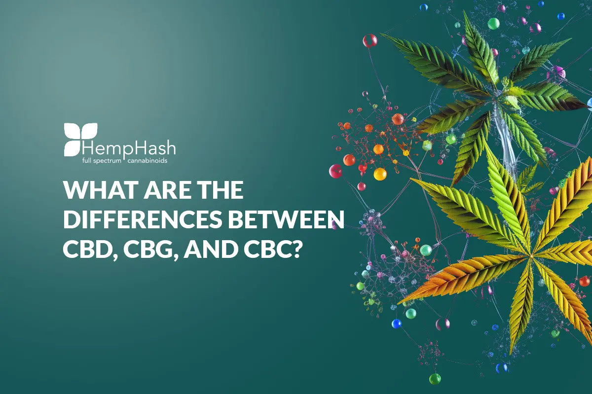 What are the Differences Between CBD, CBG, and CBC? – HempHash