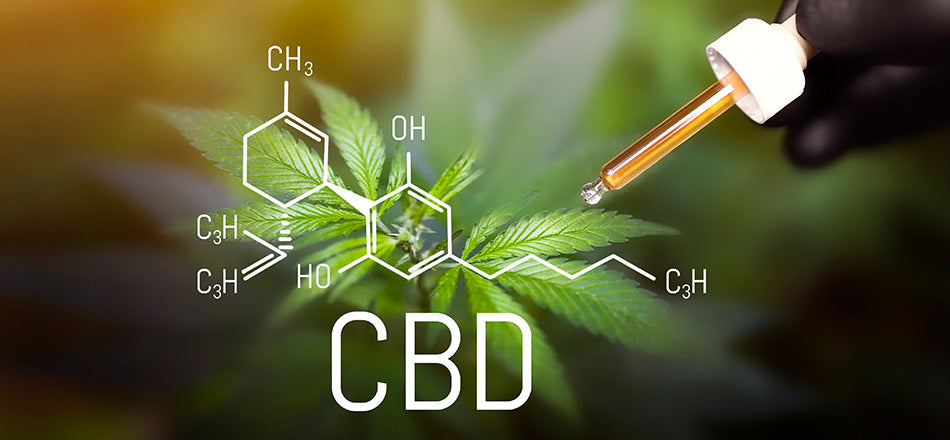 Unlocking the Potential of CBD: A Comprehensive Overview – HempHash