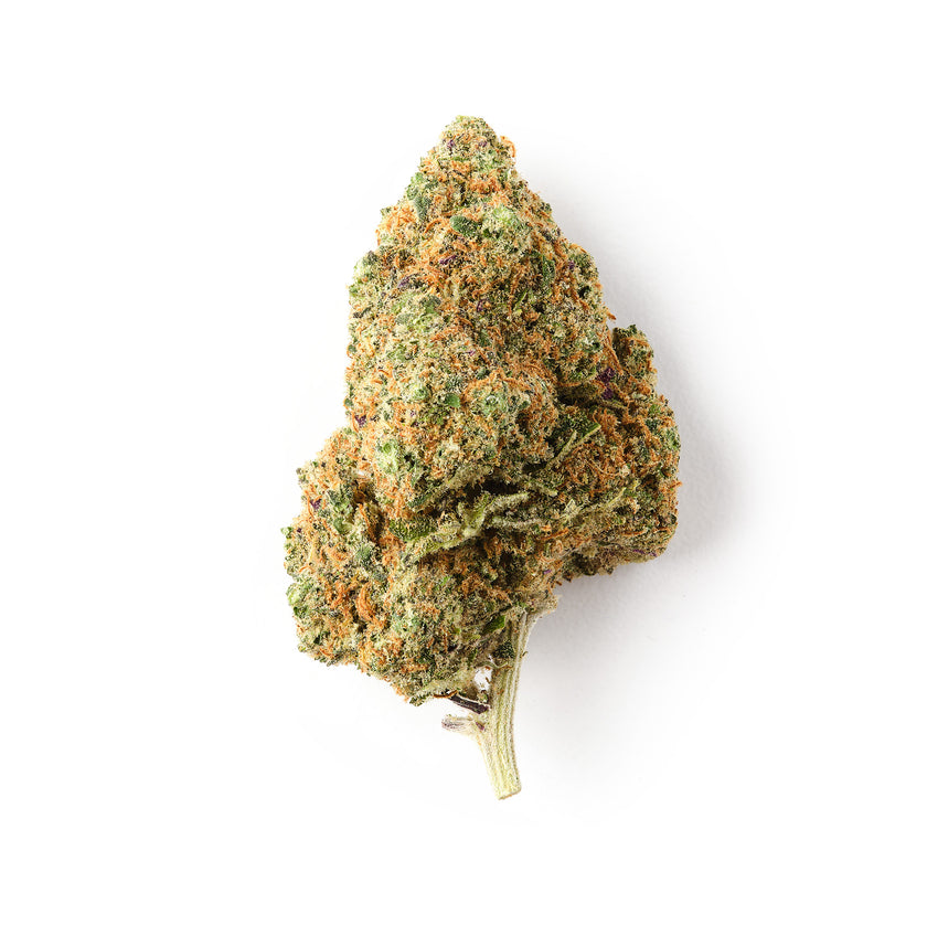 Blueberry | CBD Flower | Indoor | HempHash | 16% CBD
