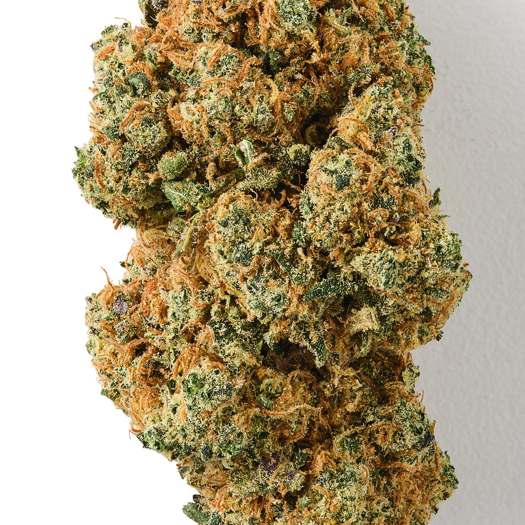 Blueberry Muffin | CBD Flower | Exquisite Indoor | 16% CBD – HempHash