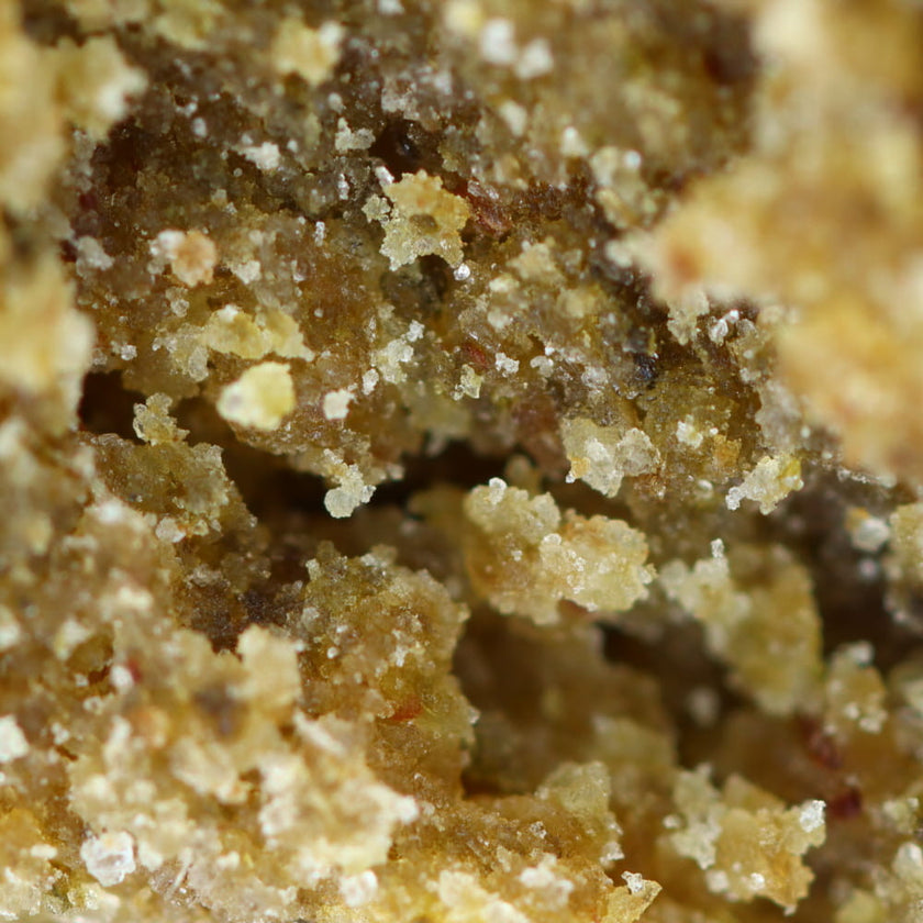 Caramelo | CBD Hash | Ivory | 54% CBD – HempHash