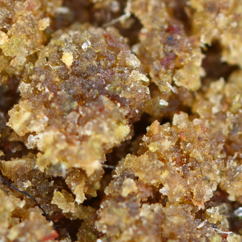 OG KUSH | CBD + CBG Hash | Ivory | 18%* – HempHash